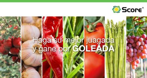 Syngenta | Perú